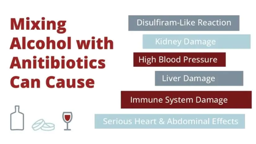 What Happens If You Drink Alcohol While Taking Antibiotics? - Indiana ...